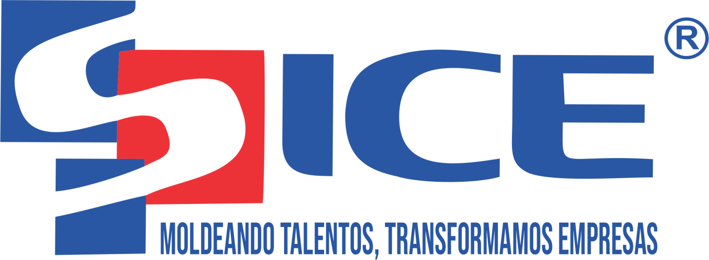 ¿QUIÉNES SOMOS? – Sice Consolida